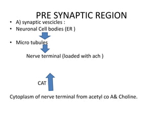 Physiology of nmj and anesthesia | PPTX