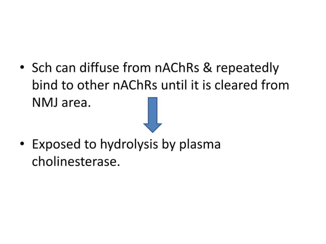 Physiology of nmj and anesthesia | PPTX | Biological Sciences | Science