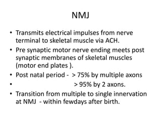 Physiology of nmj and anesthesia | PPTX
