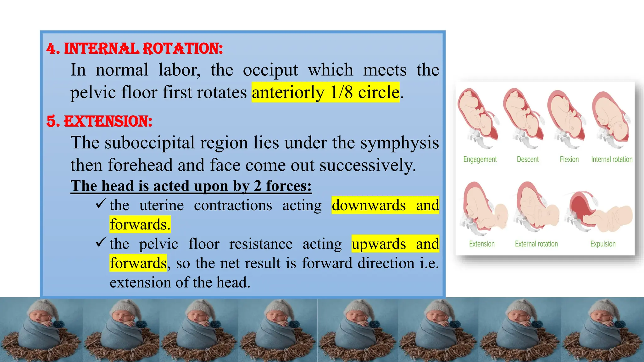 Feto-pelvic relationship and physiology of normal labor.pdf