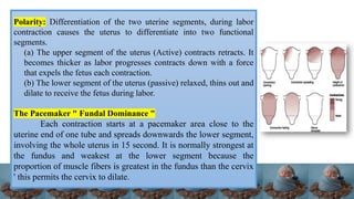 Feto-pelvic relationship and physiology of normal labor.pdf