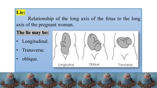 Feto-pelvic relationship and physiology of normal labor.pdf