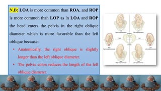 Feto-pelvic relationship and physiology of normal labor.pdf