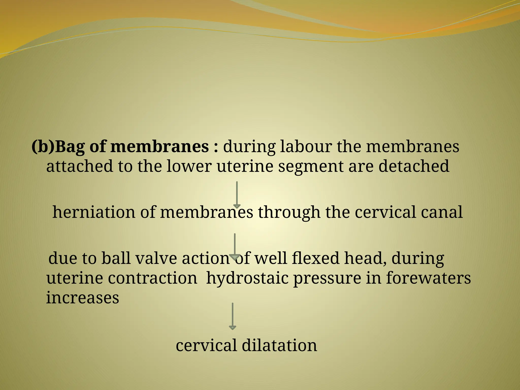 physiologyofnormallabour-120504131401-phpapp02.pptx