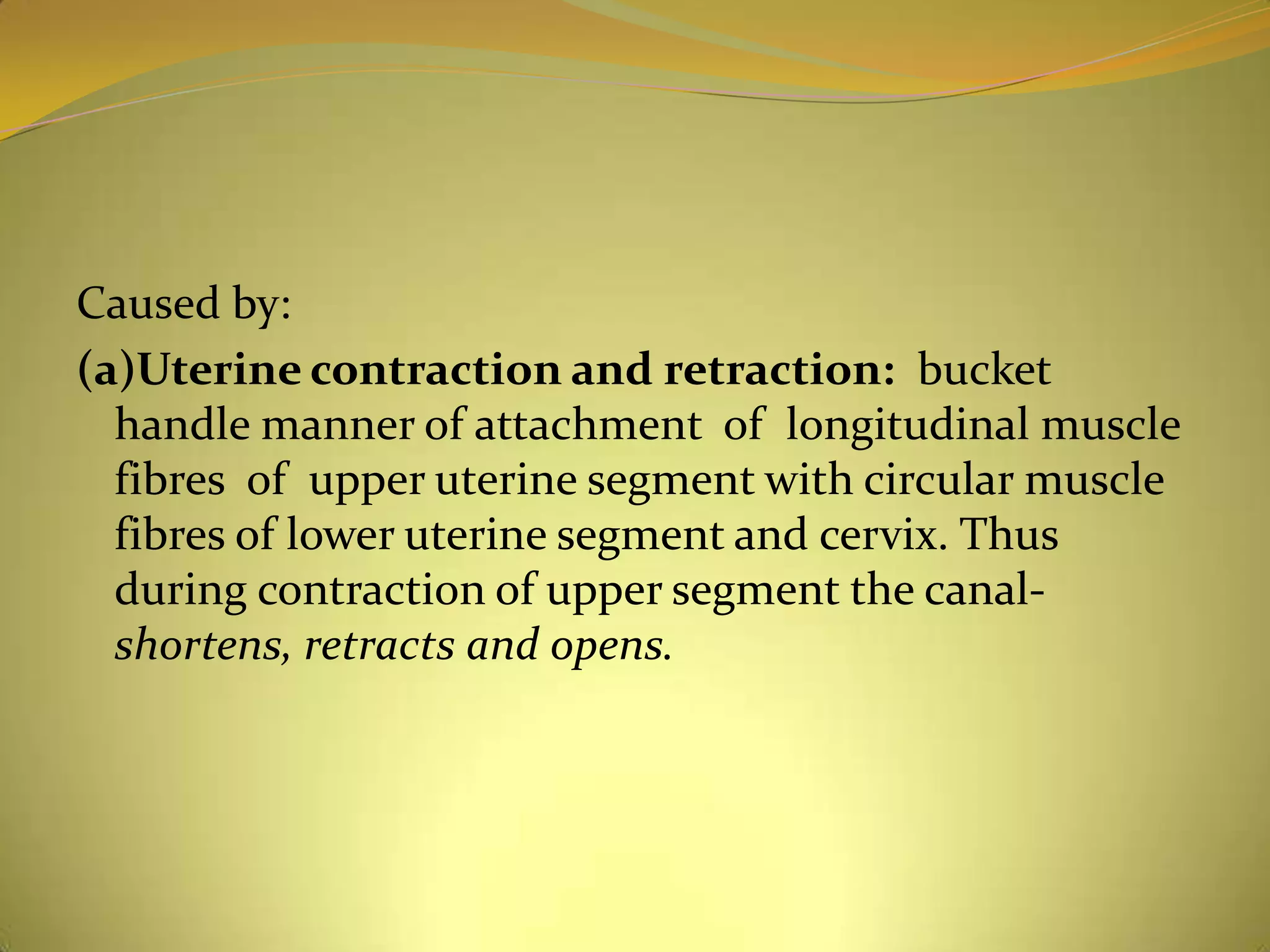 Physiology of normal labour | PPTX