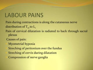 Physiology of normal labour | PPTX