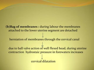 Physiology of normal labour | PPTX