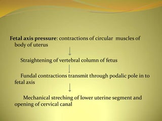 Physiology of normal labour | PPTX