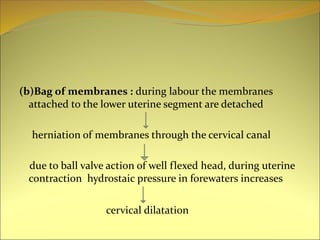 physiologyofnormallabour in pregnancy... | PPT