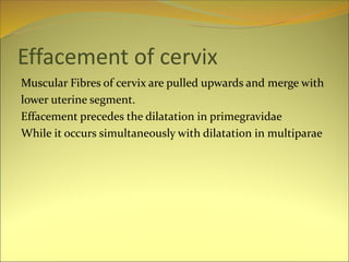 physiologyofnormallabour in pregnancy... | PPT