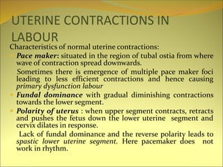 physiologyofnormallabour in pregnancy... | PPT