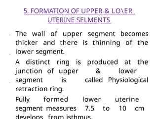 Physiology of normal labour by Saloni Patel.pptx