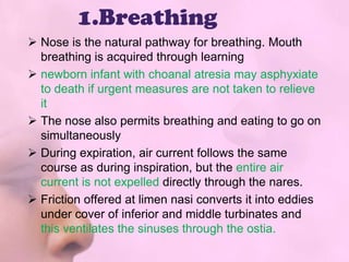 Physiology of nose | PPTX