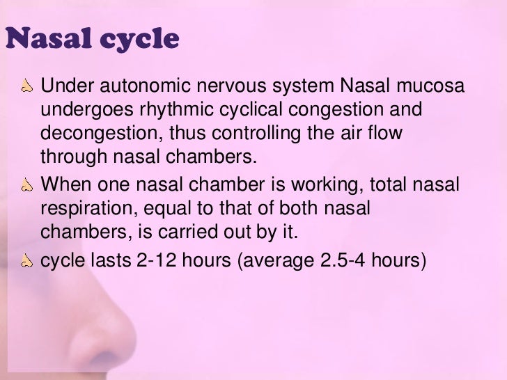 Physiology of nose