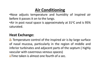 Physiology of nose | PPTX