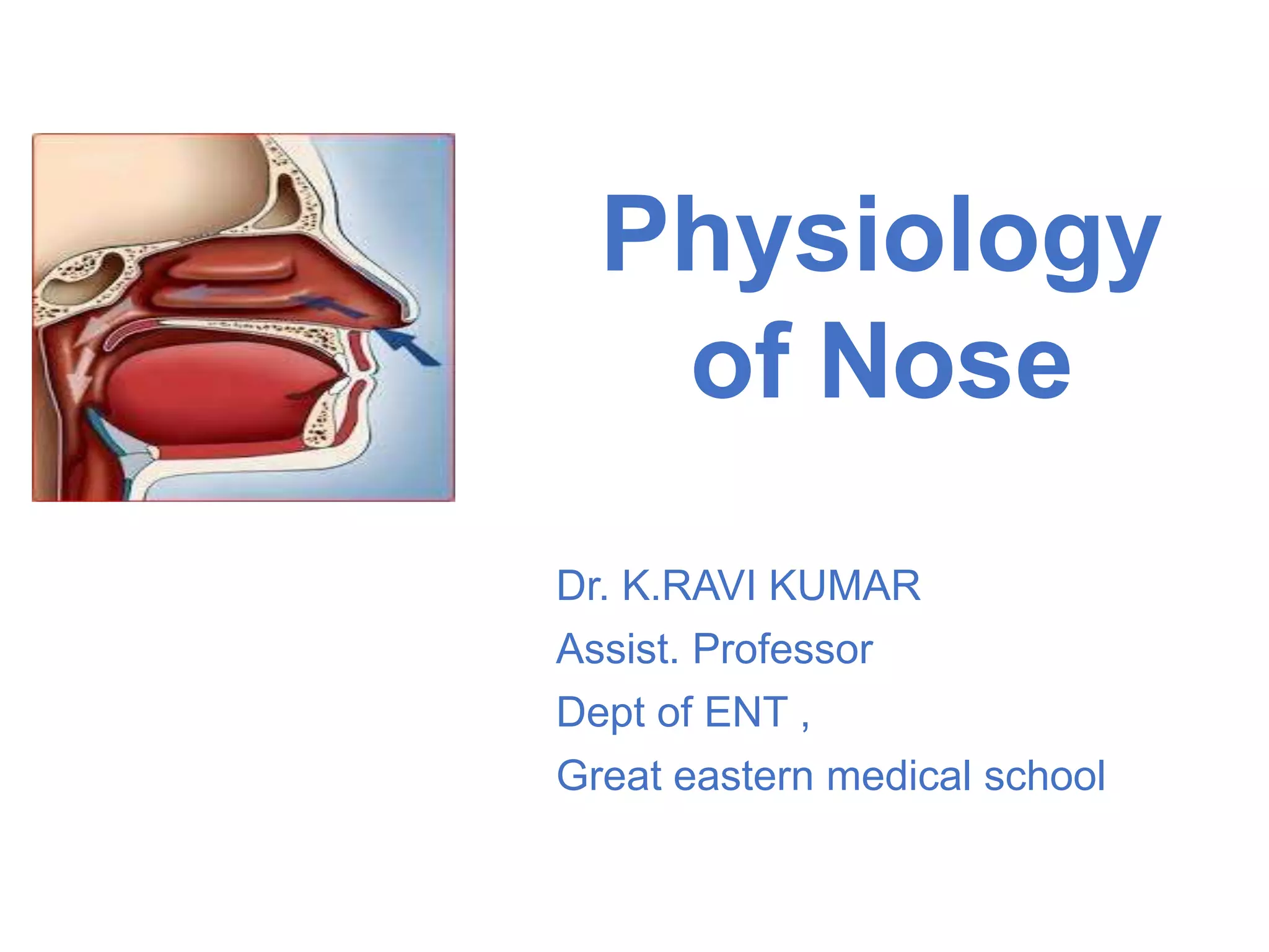 Physiology of nose | PPTX