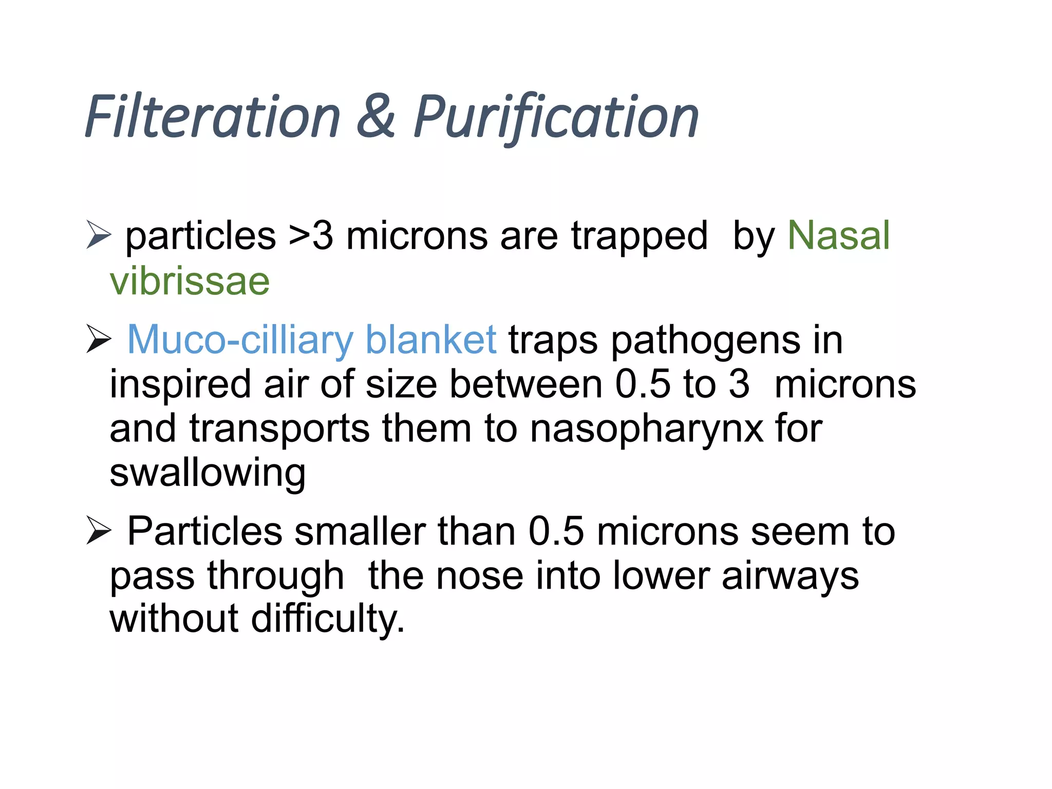 Physiology of nose | PPTX