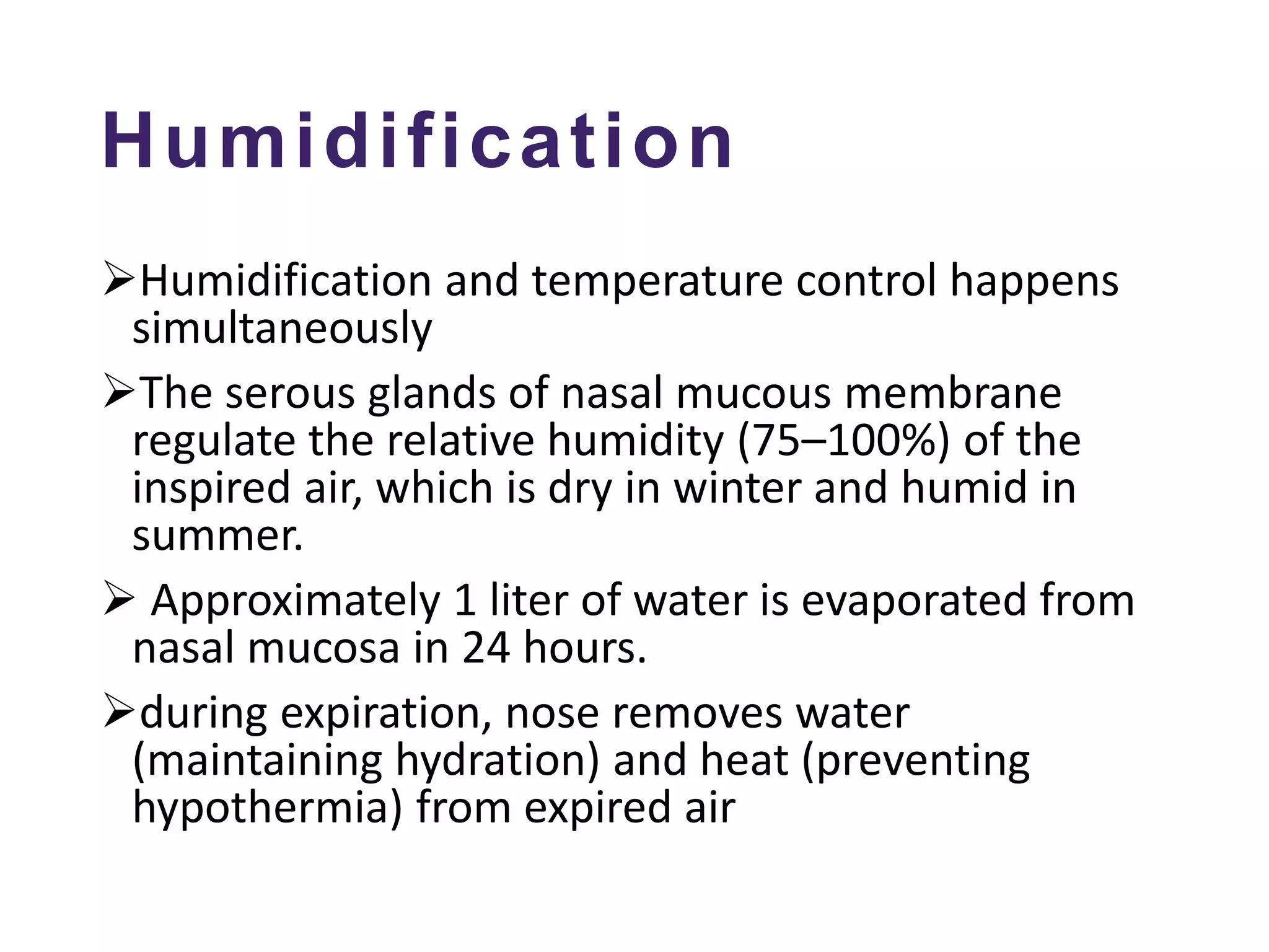 Physiology of nose | PPTX