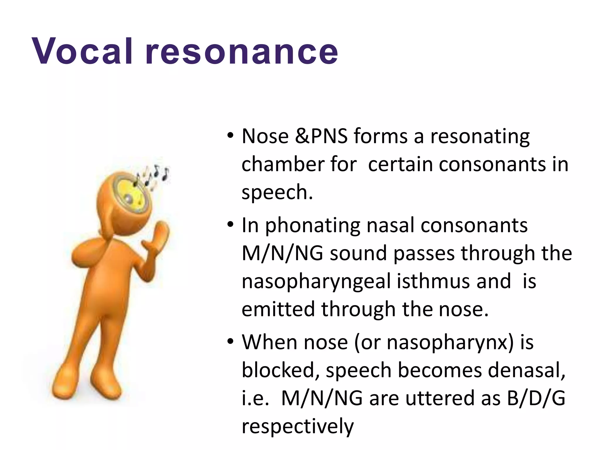Physiology of nose | PPTX
