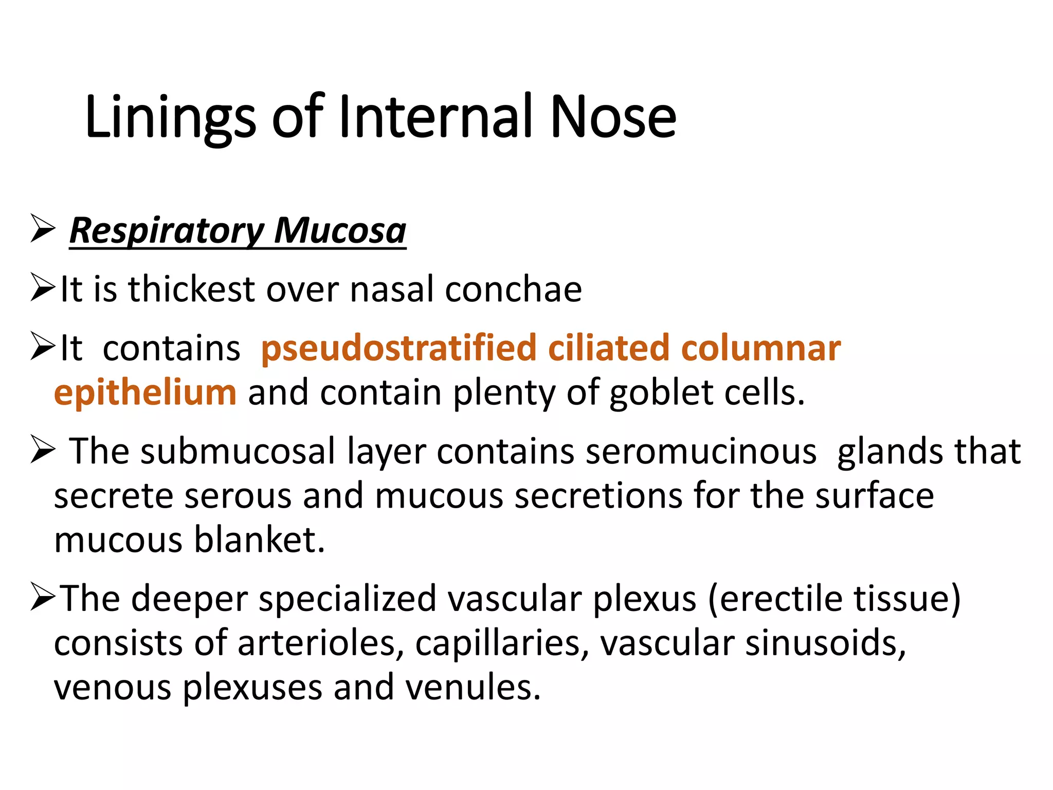 Physiology of nose | PPTX