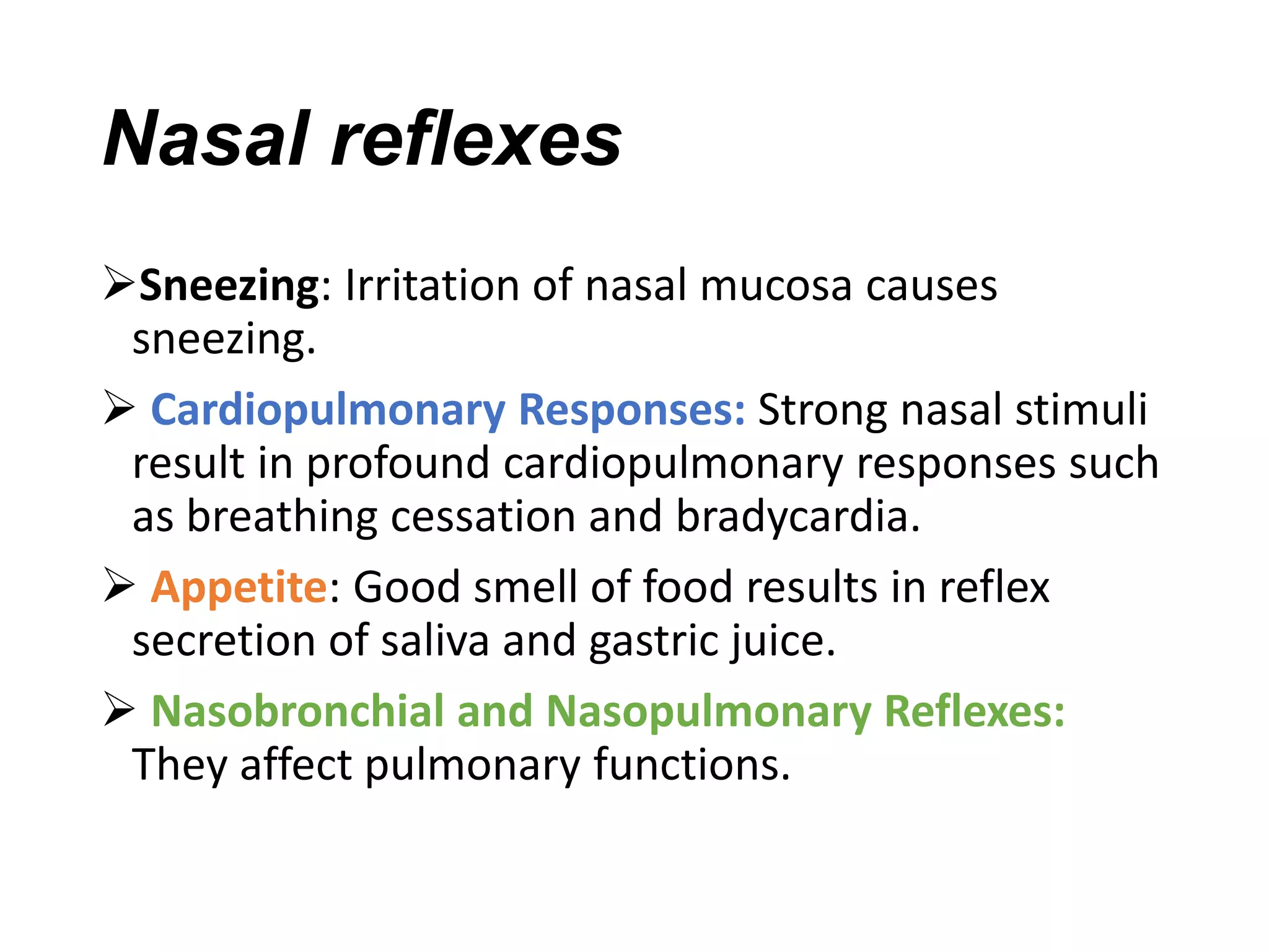 Physiology of nose | PPTX
