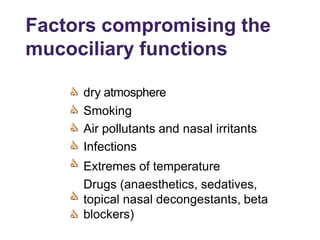 Physiology of nose | PPTX