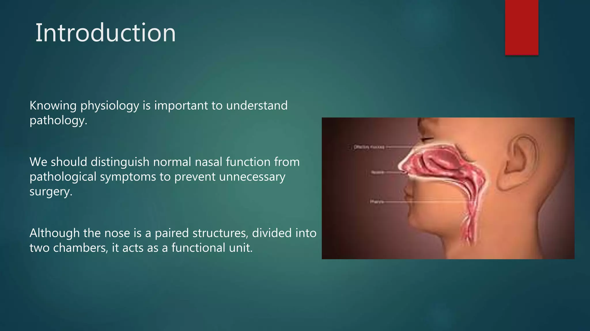 Physiology of Nose.pptx