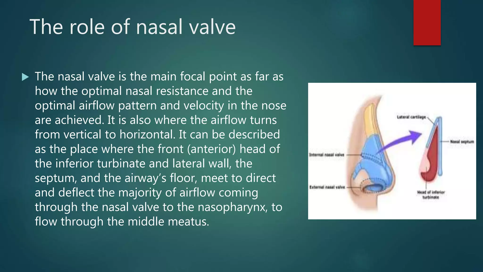 Physiology of Nose.pptx