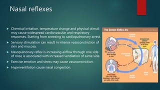 Physiology of Nose.pptx