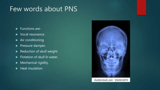 Physiology of Nose.pptx