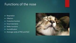 Physiology of Nose.pptx