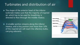 Physiology of Nose.pptx