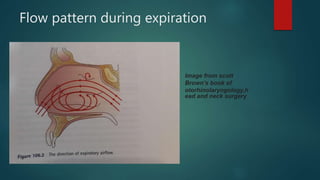 Physiology of Nose.pptx
