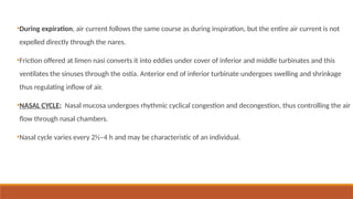 PHYSIOLOGY OF NOSE MBBS ENT 3rd phase medico | PPT