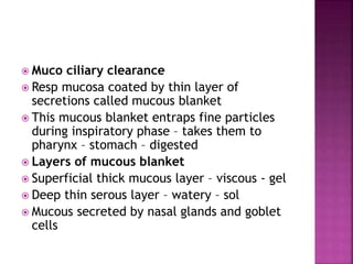 Physiology of nose and pns | PPTX