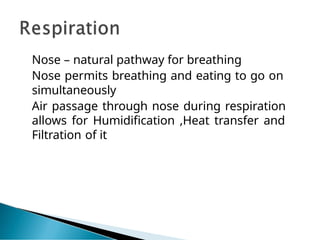 physiology of nose ent power point presentation | PPTX