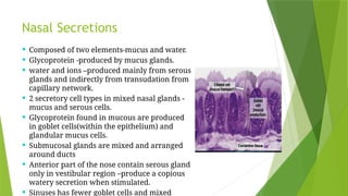 Physiology of NOSE^JOLFACTION adddnd.pptx