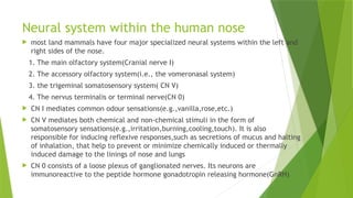 Physiology of NOSE^JOLFACTION adddnd.pptx