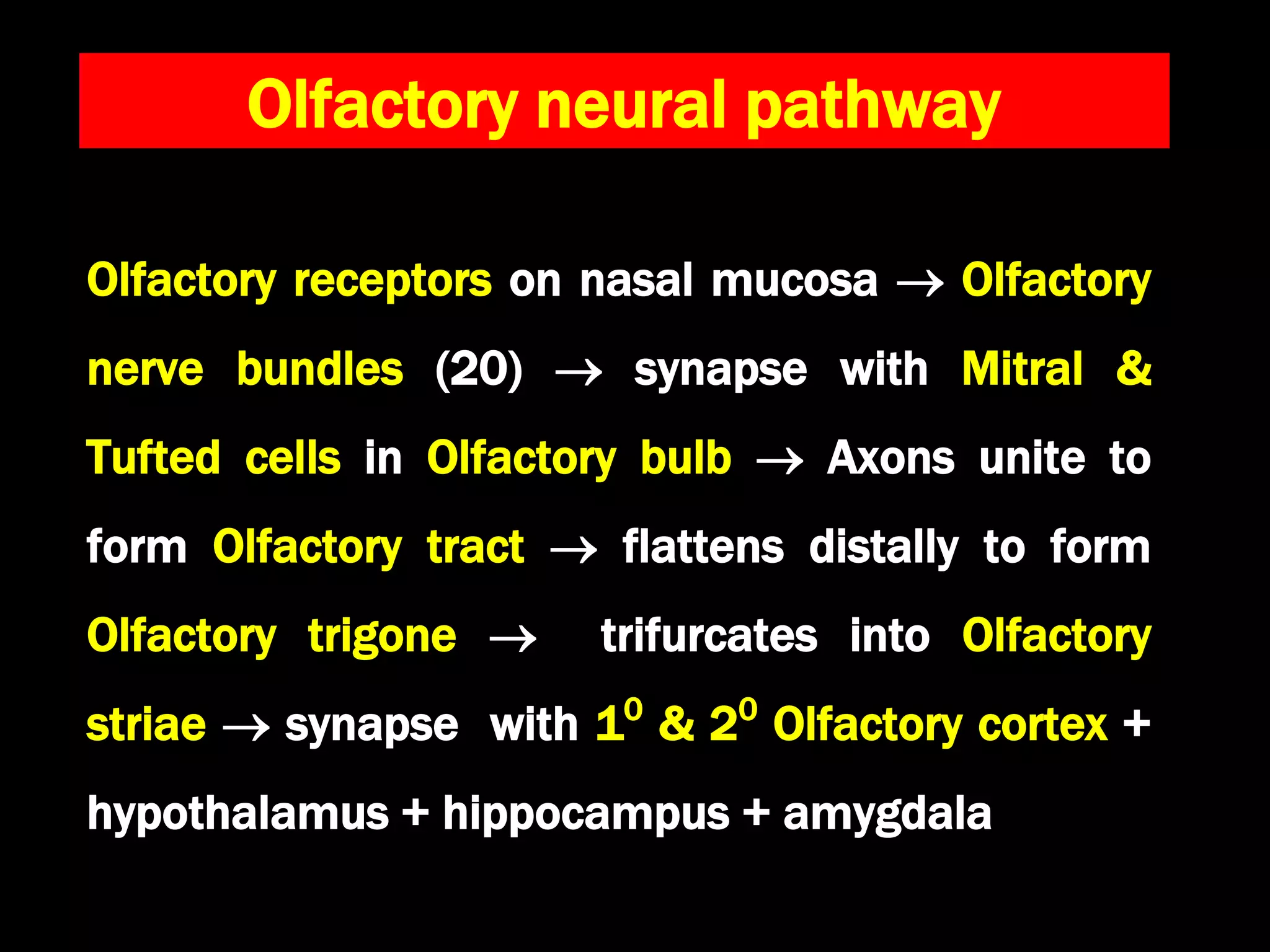 Physiology of nose & PNS | PPT