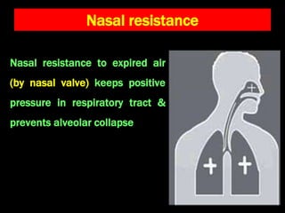 Physiology of nose & PNS | PPT