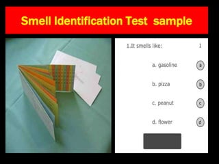 Physiology of nose & PNS | PPT