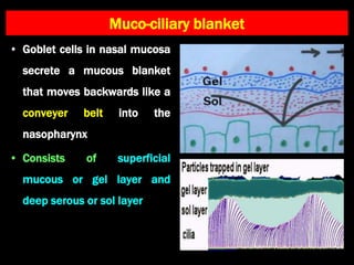 Physiology of nose & PNS | PPT