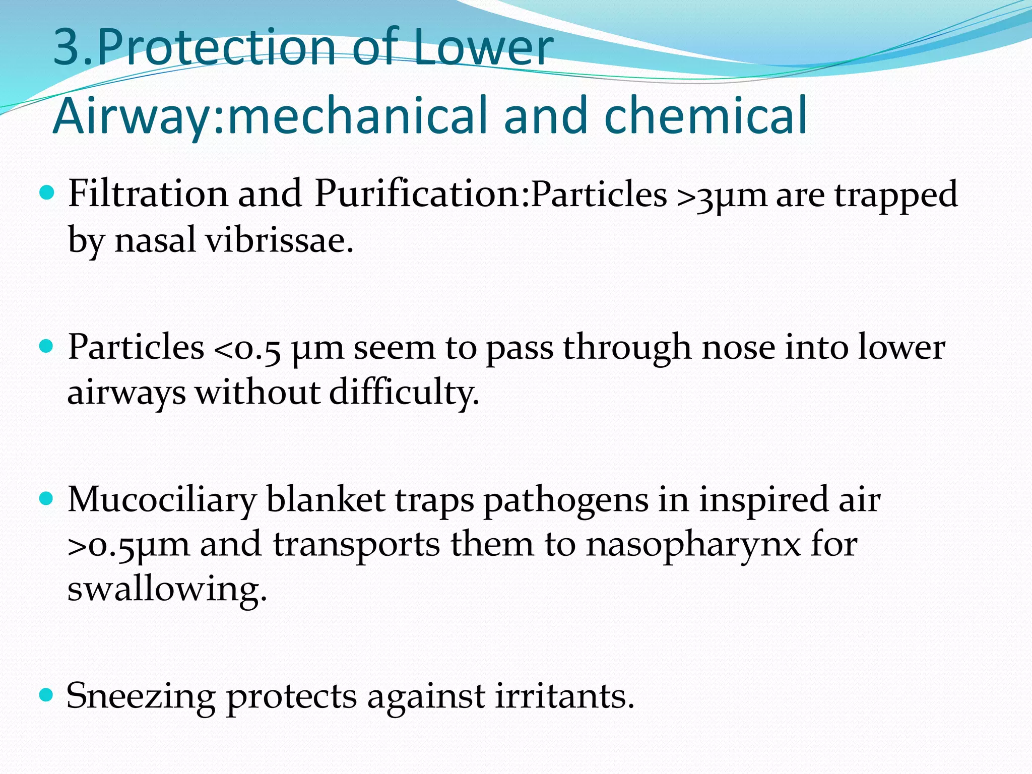 Physiology of nose,smell and its pathway | PPTX