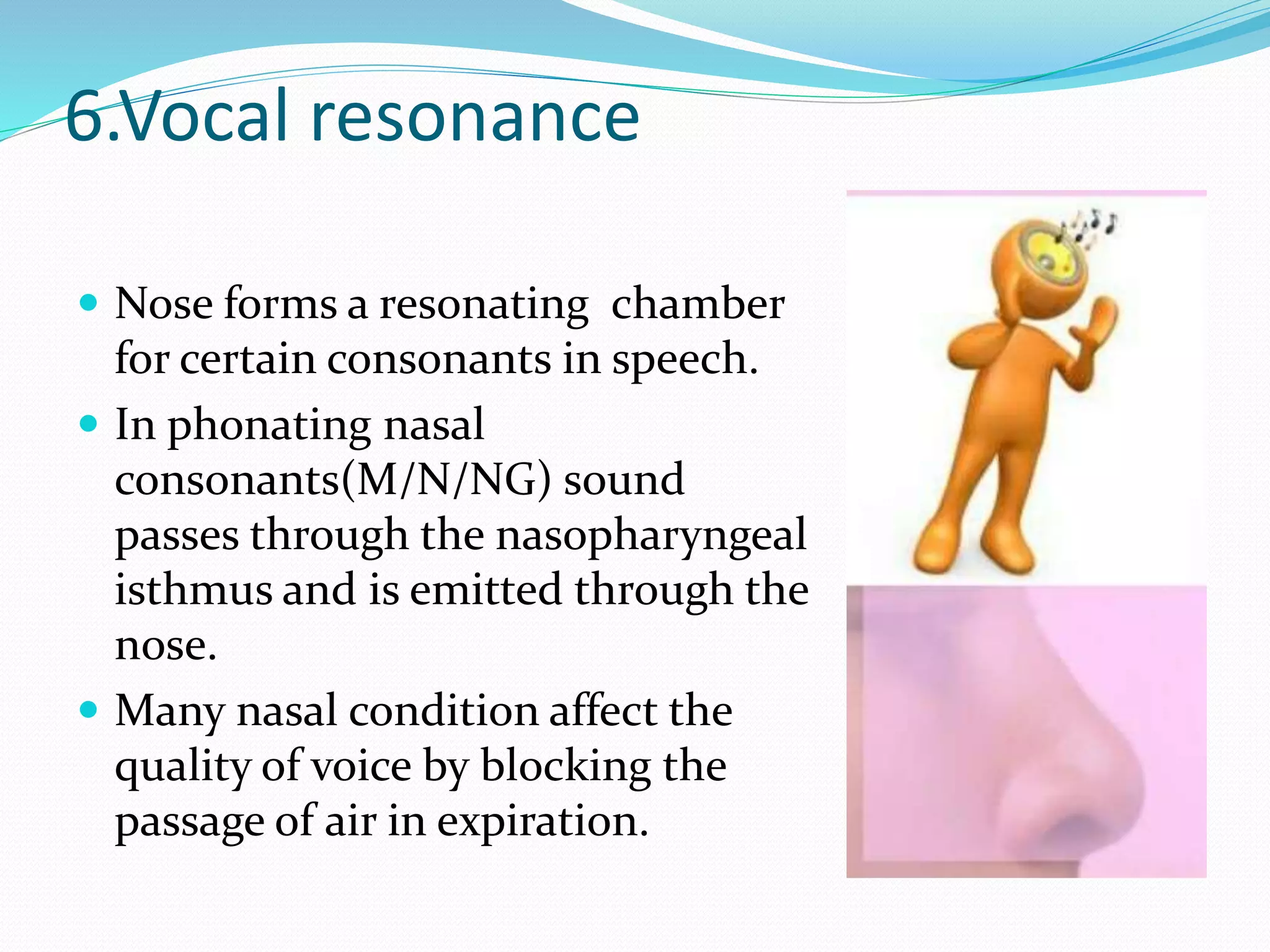 Physiology of nose,smell and its pathway | PPTX