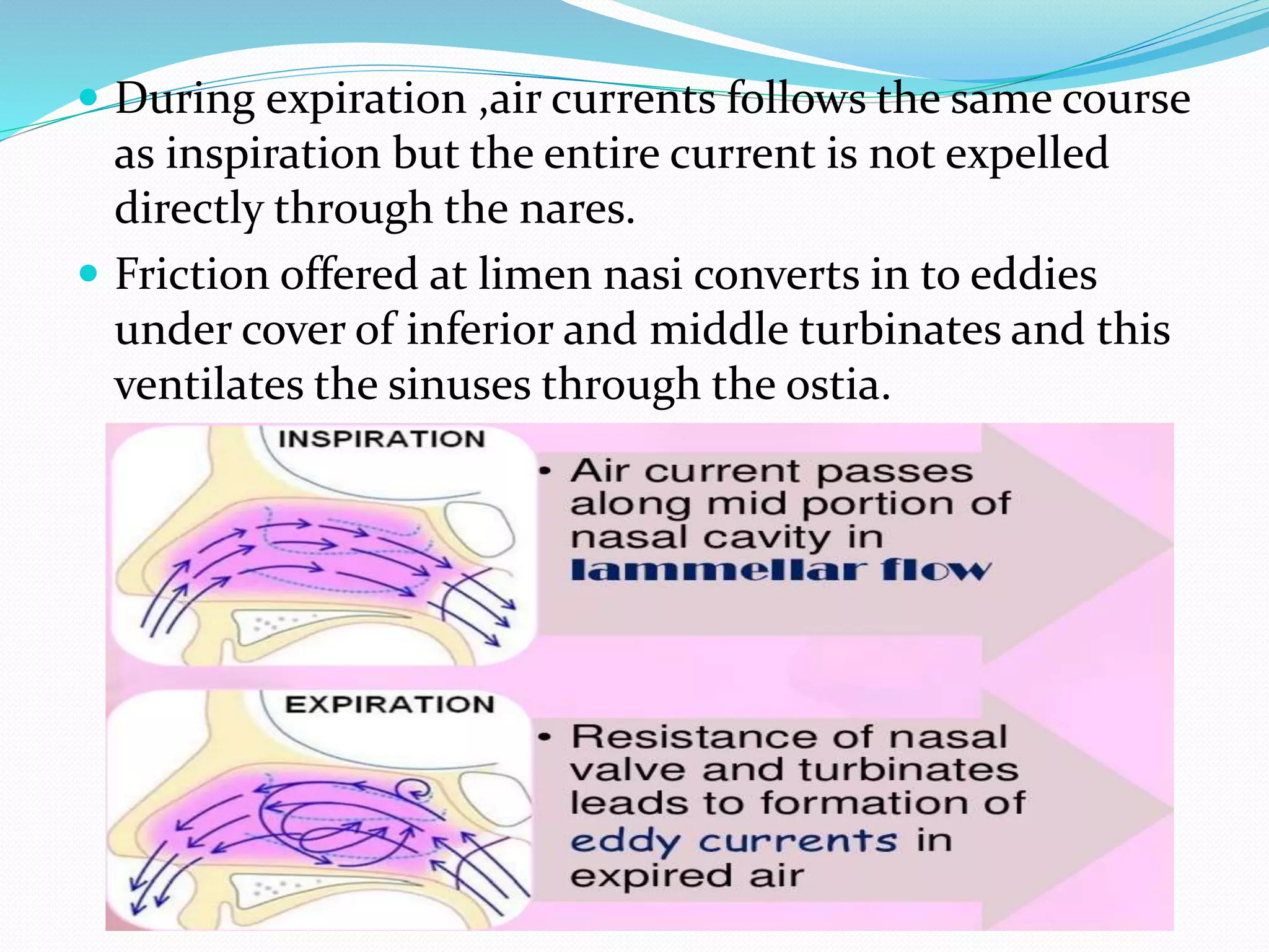 Physiology of nose,smell and its pathway | PPTX