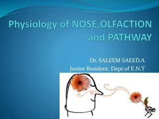 Physiology of nose,smell and its pathway | PPTX