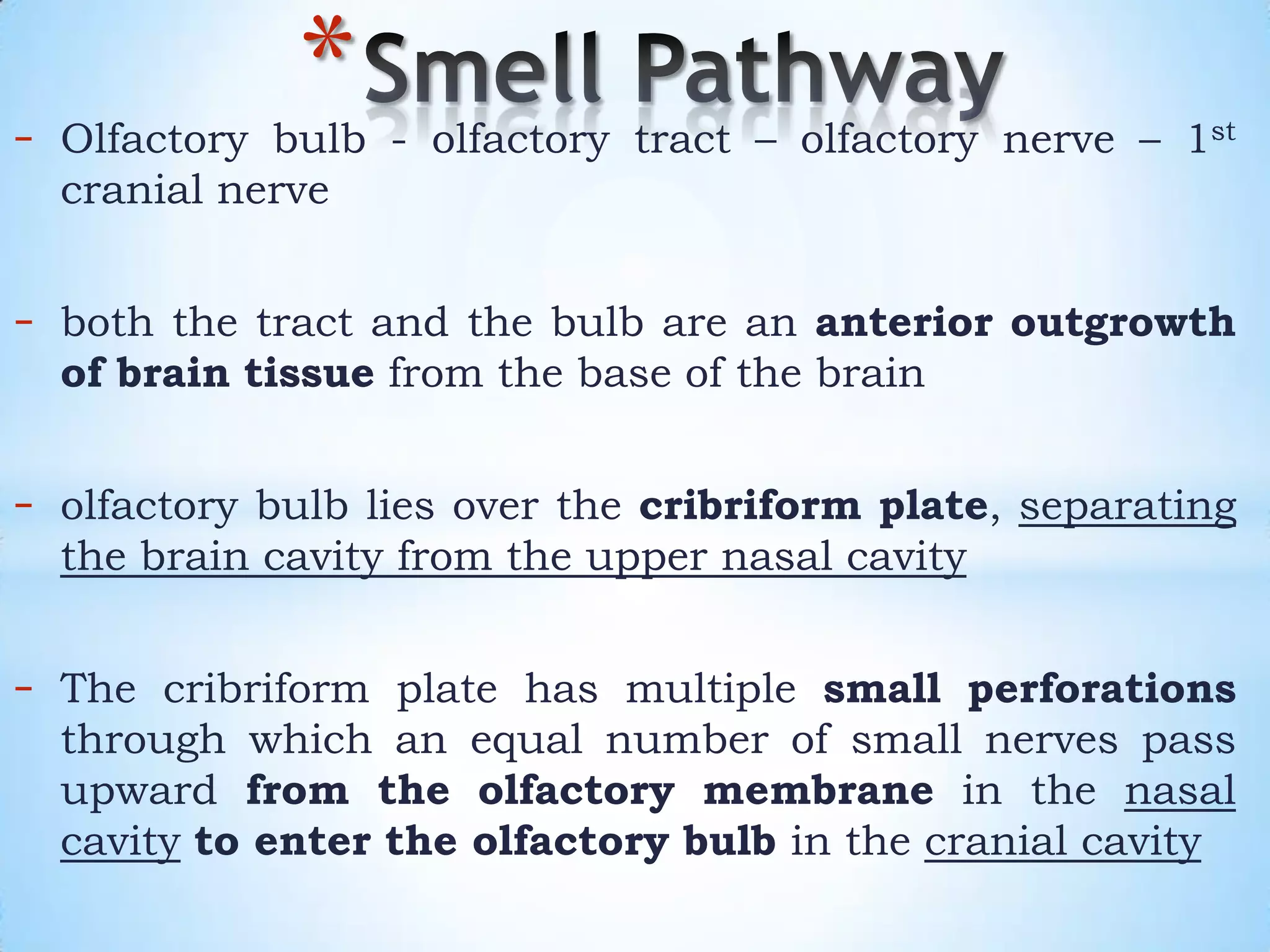 Physiology of olfaction | PPTX