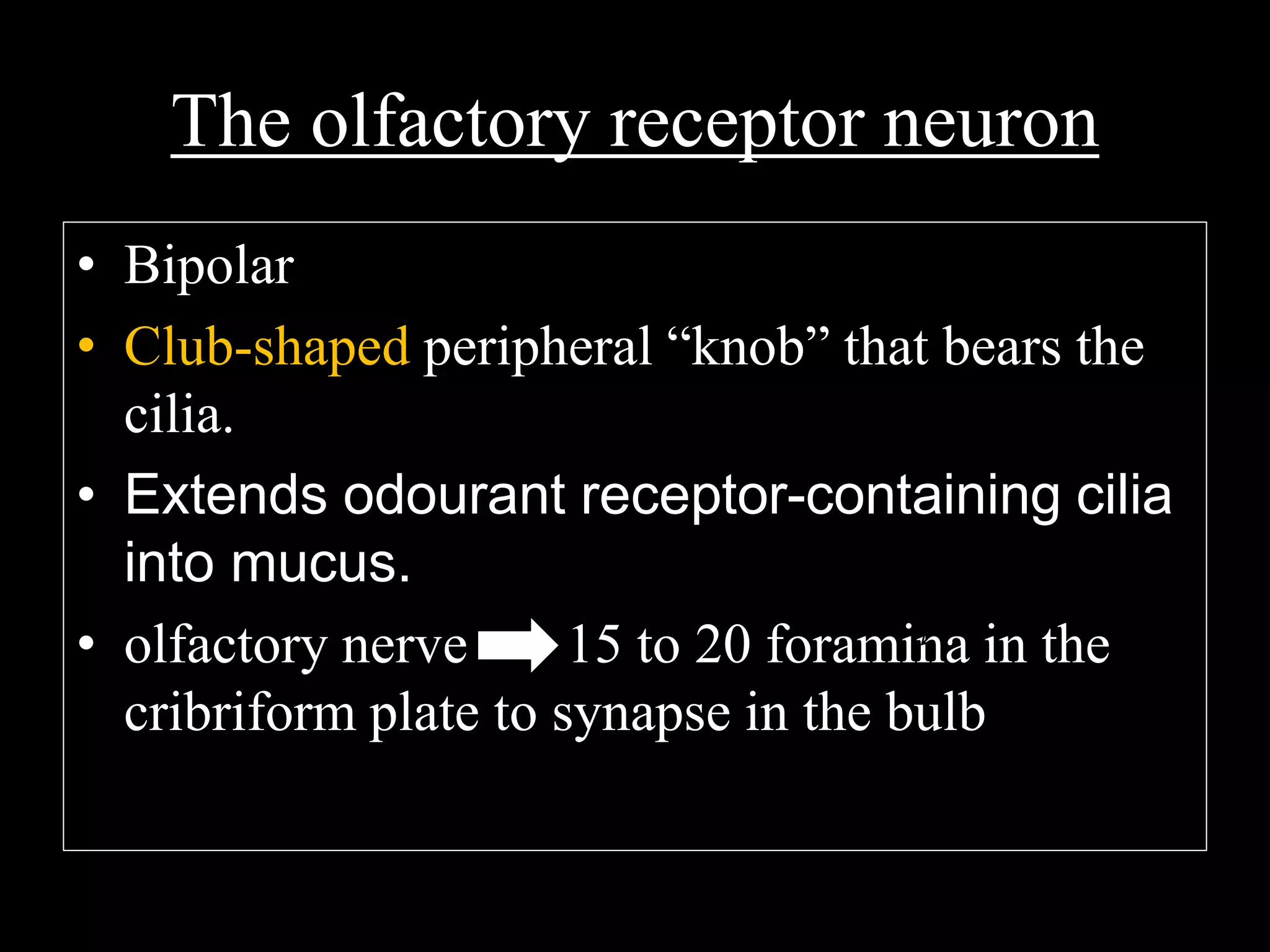Physiology of olfaction | PPTX