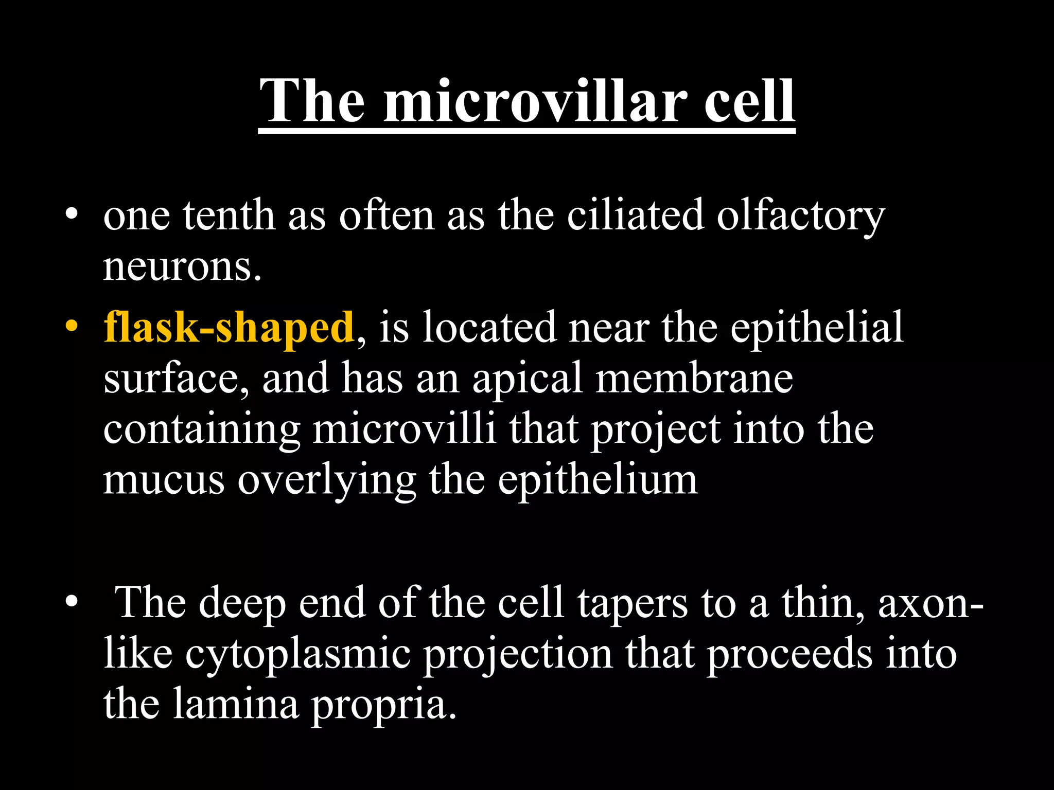Physiology of olfaction | PPTX