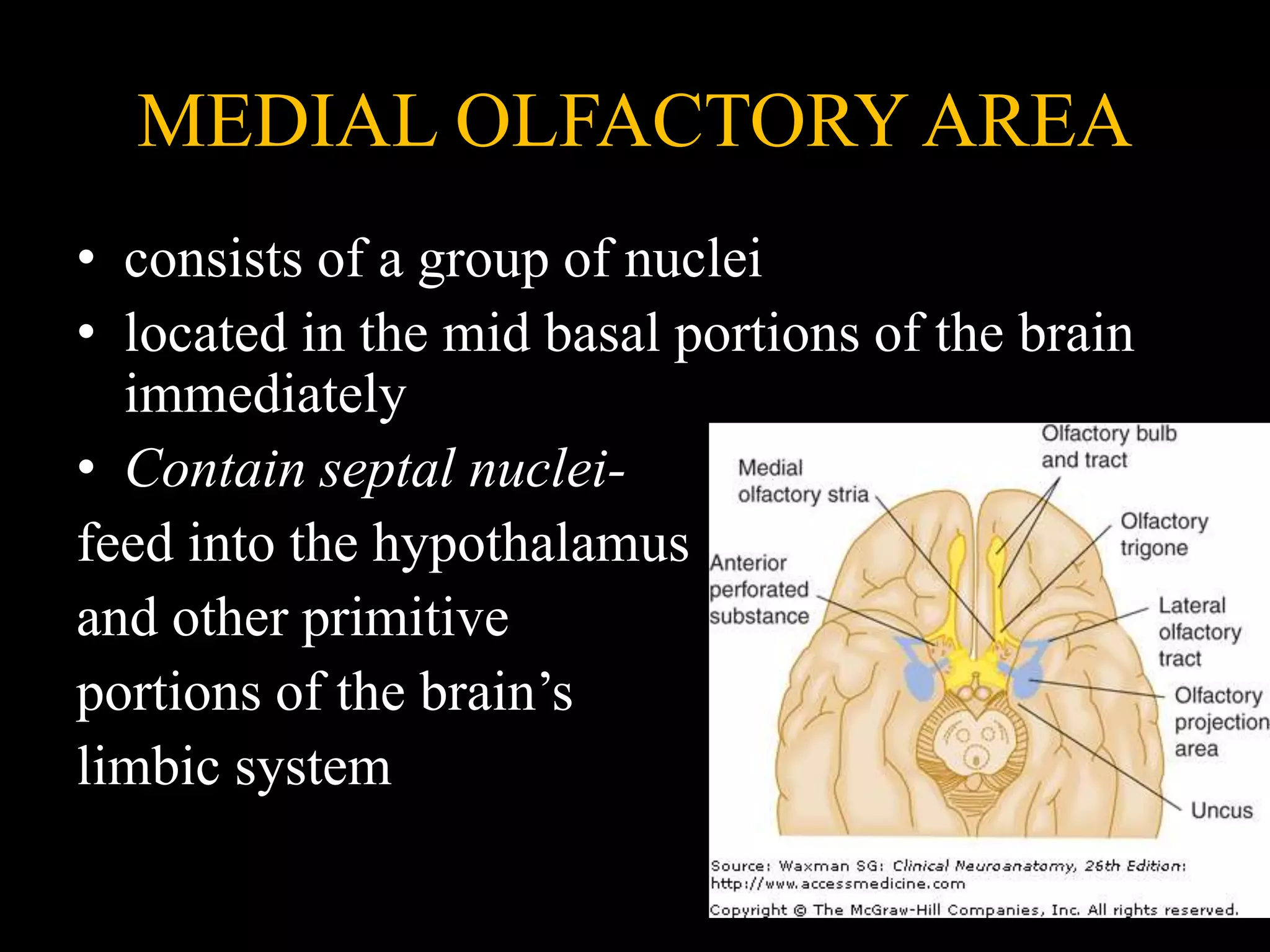 Physiology of olfaction | PPTX